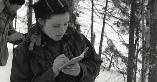 Diaries and chronology