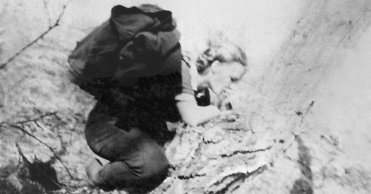 Dubinina's premonition